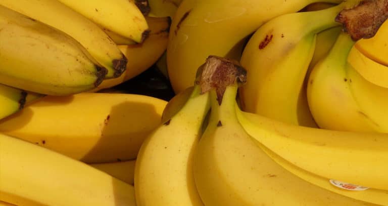 Can Ferrets Eat Bananas? | Beyond The Treat