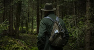 What Eats Bears? Ultimate List of Bear Predators (6 Examples)